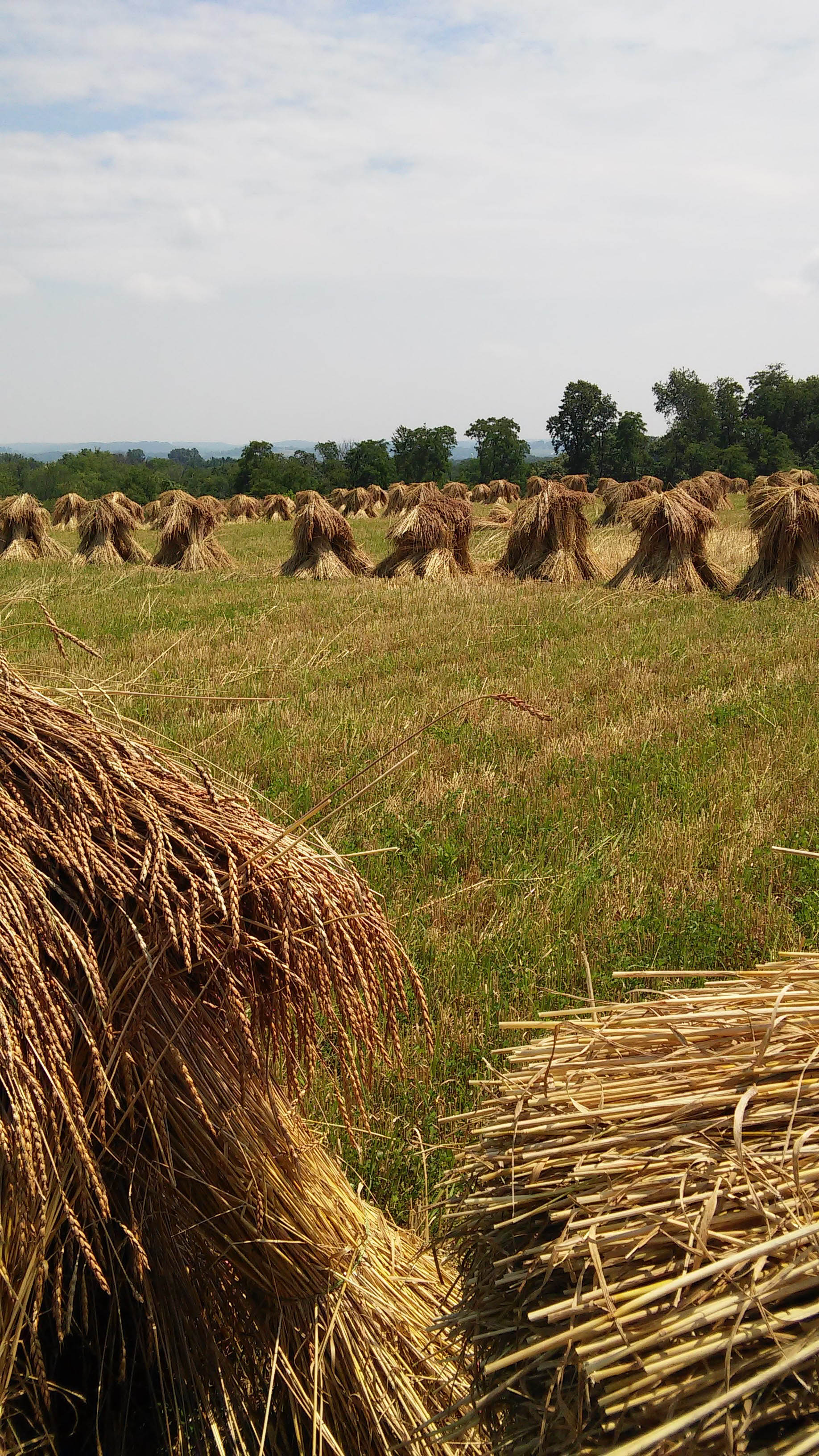 Helping Amish Farmers Preserve A Way of Life - Lehman's Simpler Living Blog