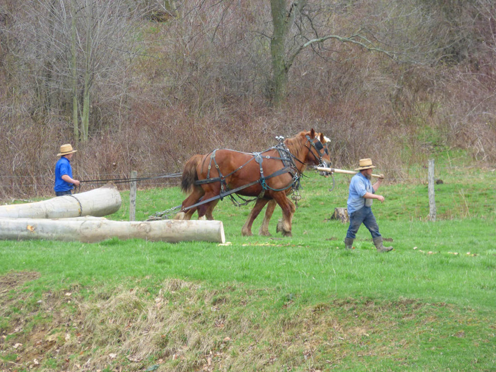 The Amish Way - Lehman's Simpler Living Blog