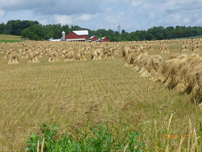 Hot Summer Days Mean Less Ice in Amish Country