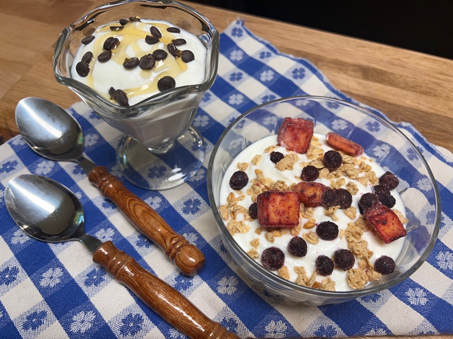 The Secret Life of Yogurt (with Recipes) - Lehman's Simpler Living Blog