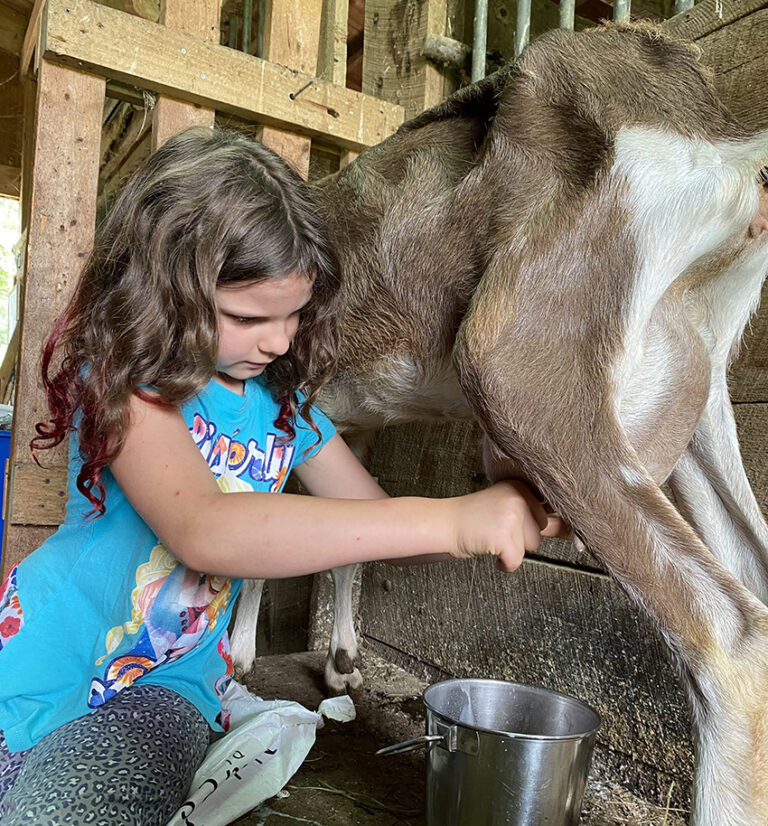 Goat Milk vs. Cow Milk: How to Choose - Lehman's Simpler Living Blog