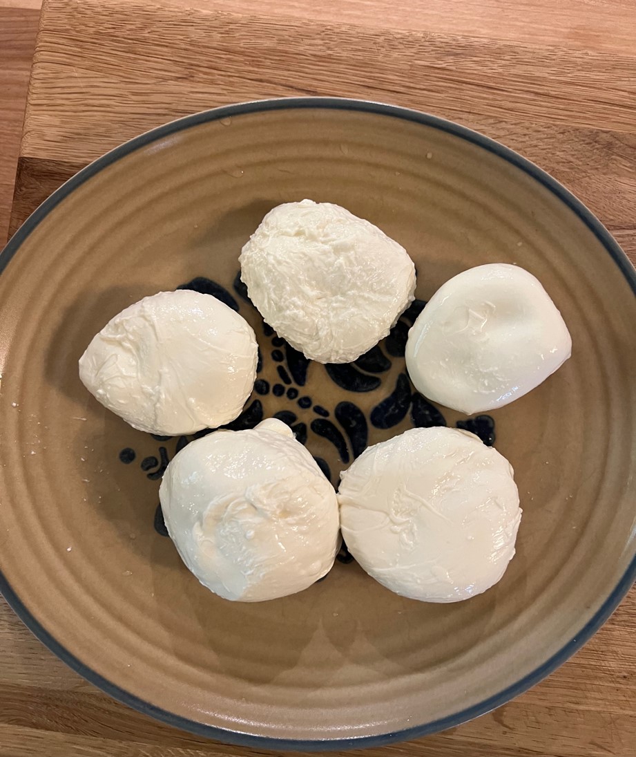 Making Mozzarella Cheese at Home - Lehman's Simpler Living Blog