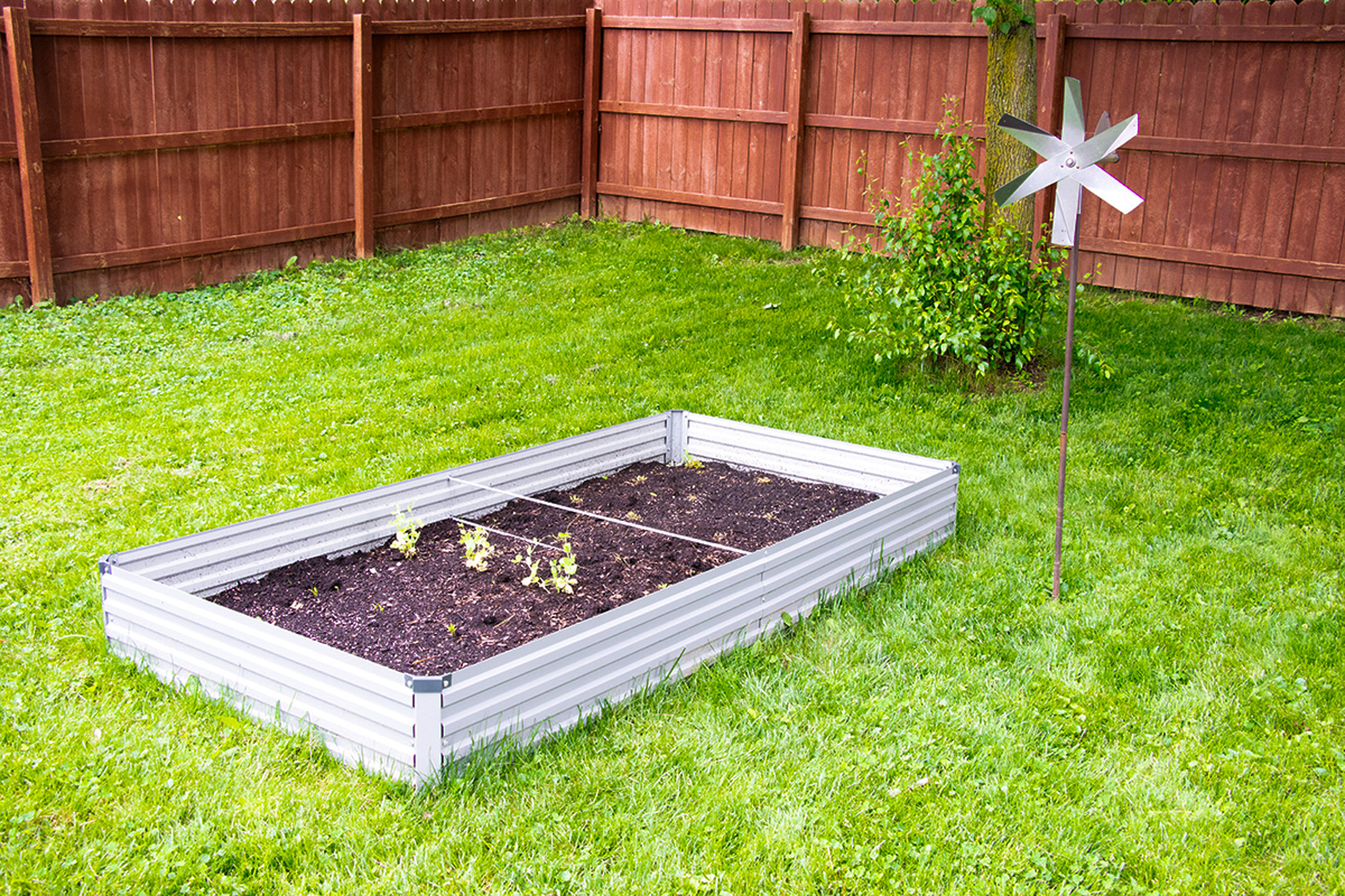 Natural Pest Control Tips for a Healthy Garden (With NO Harsh Chemicals ...